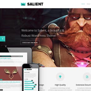 Salient - Responsive Wordpress Theme by ThemeNectar