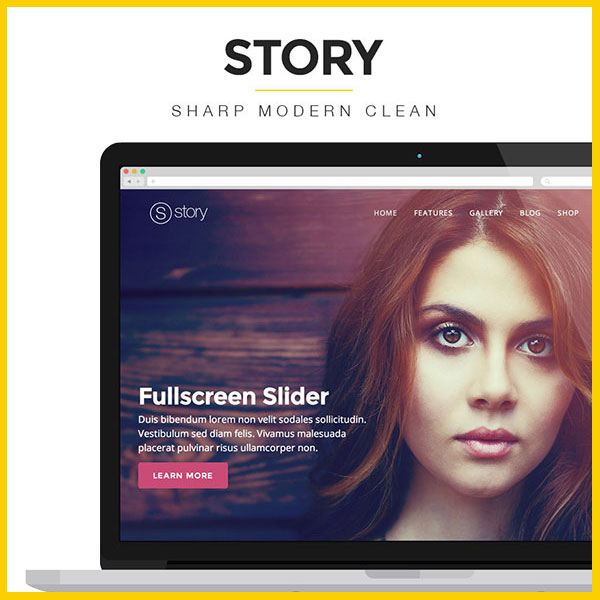 The Story WordPress theme