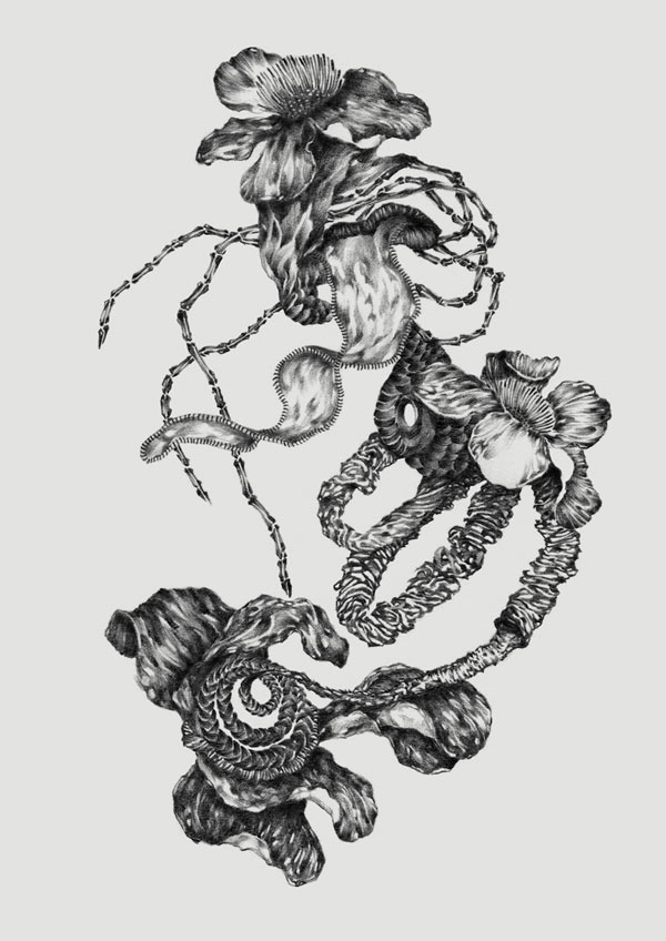 Céli Lee, a London-based Chinese Artist