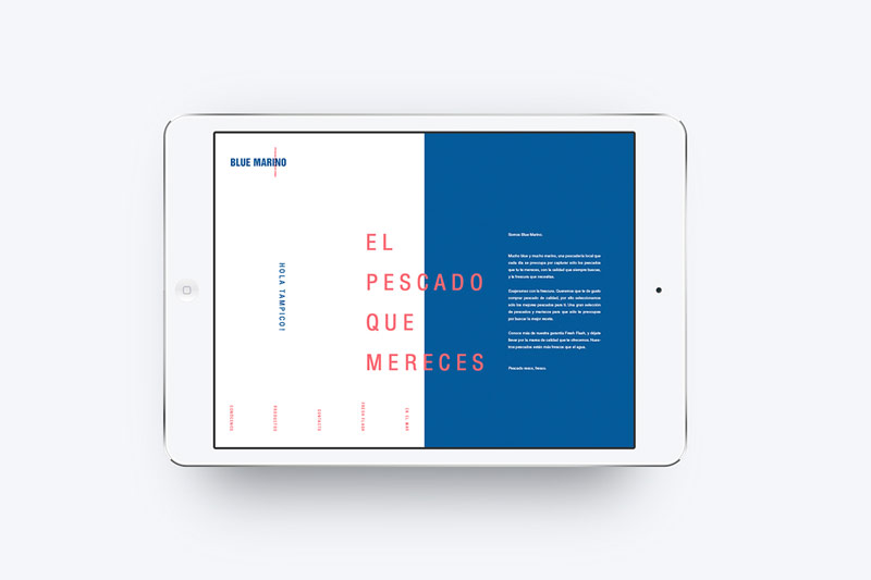 Blue Marino - Fish Market Brand Identity Design