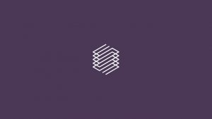 Stevenson Systems – Rebranding by Socio Design