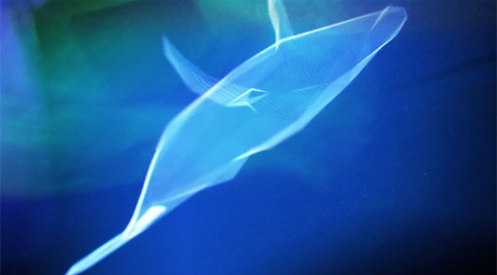 Holographic Stop-Frame Animation by Treat Studios