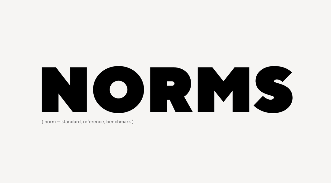 TT Norms Font Family from TypeType