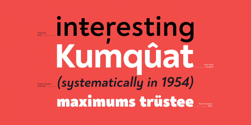 Noah Type System by Fontfabric