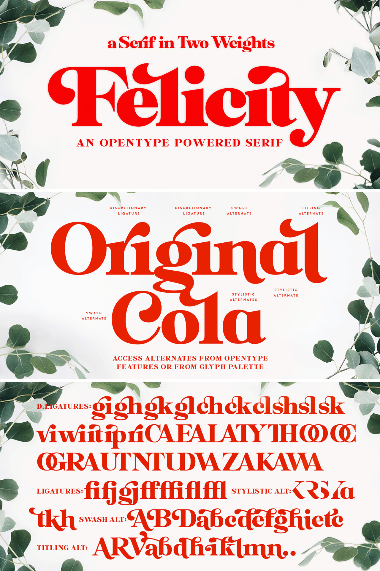 Felicity Serif Font from Fenotype