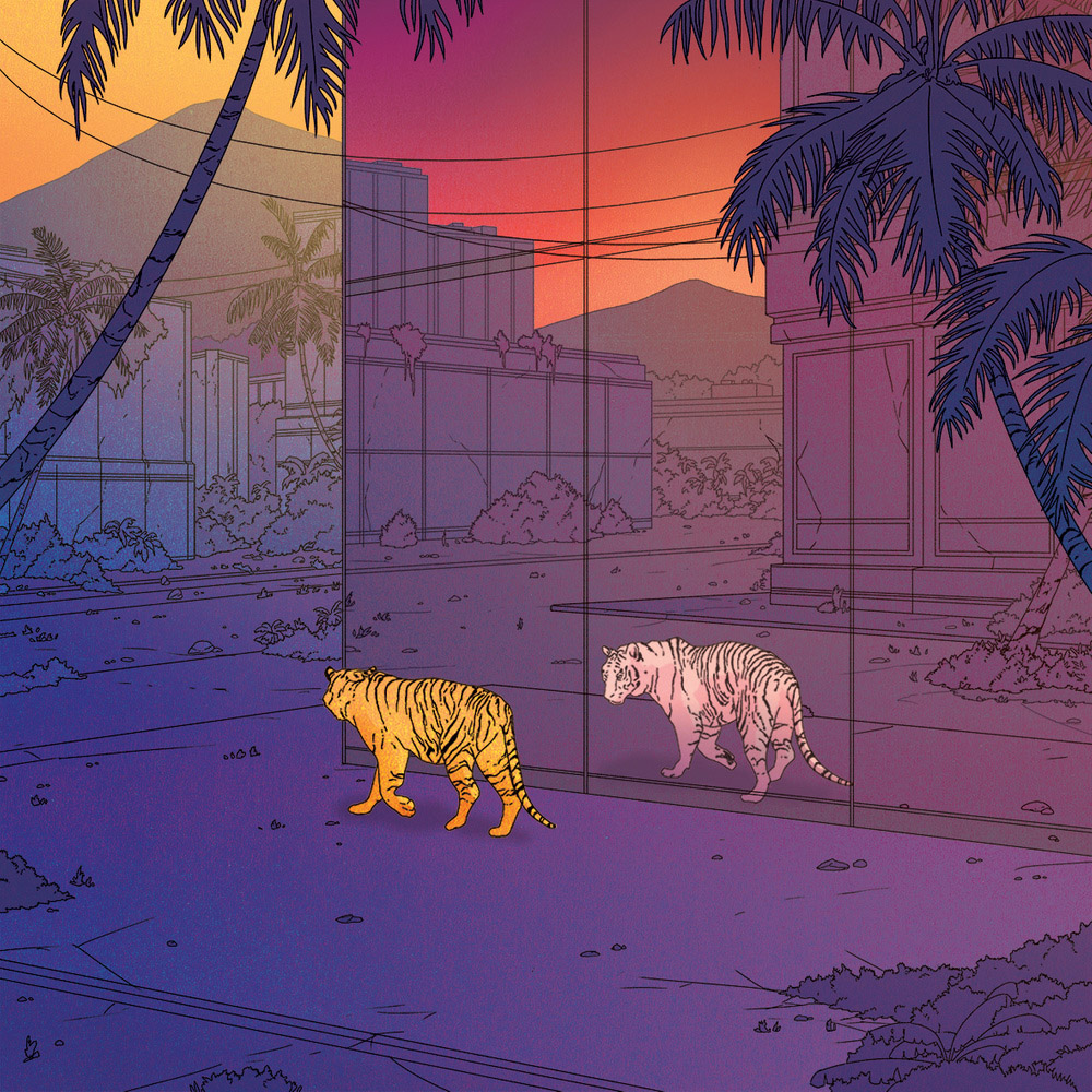 Liam Cobb Illustrations