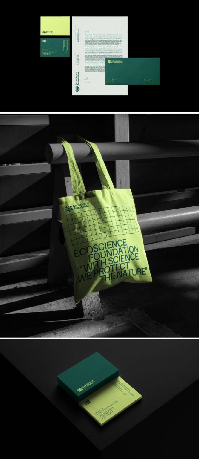Ecoscience Foundation - Brand Identity Design by Cantone Studio